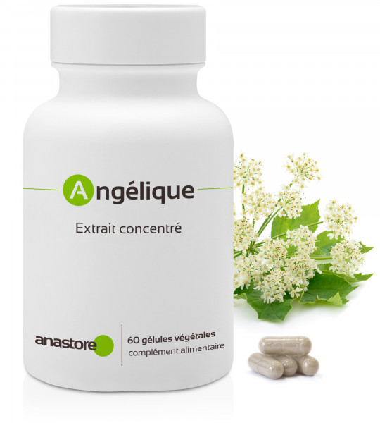 Acheter Angélique - 60 gélules à l'extrait de racine d'angélique.